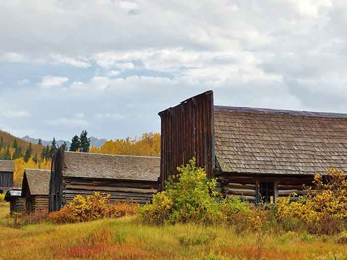 Ashcroft's old barn wears its autumn colors proudly, golden grasses and turning aspens framing a building that refuses to quit.