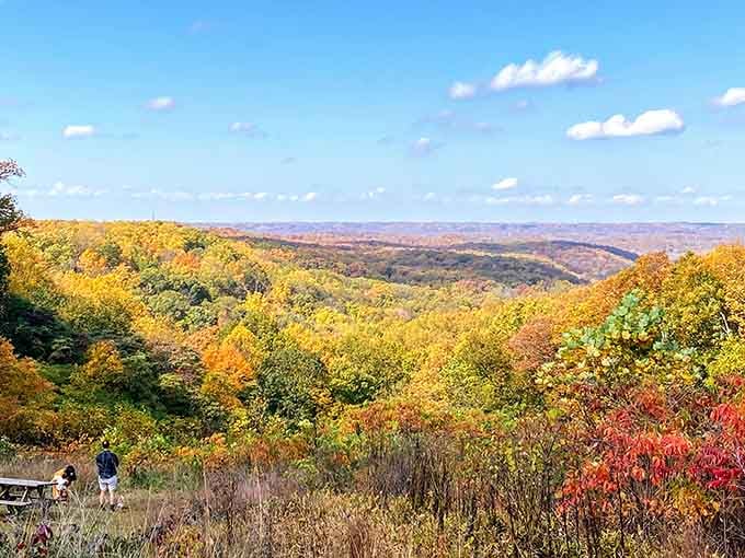 Brown County in October is nature showing off, and frankly, we're here for every bit of it.