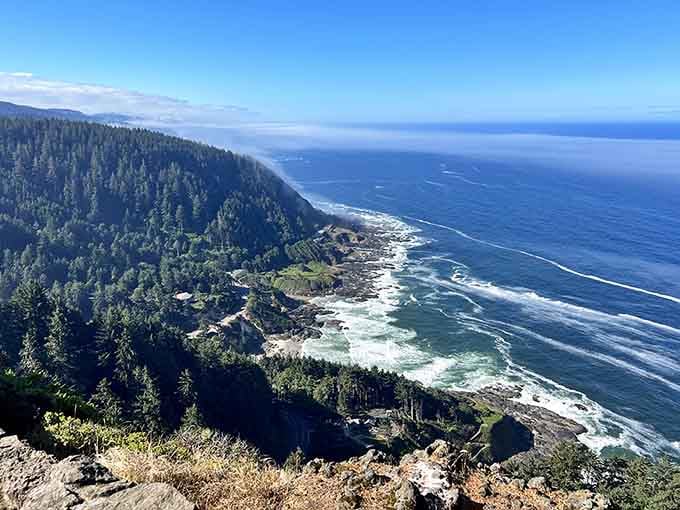 Eight hundred feet above the ocean, this bird's-eye view transforms whale spouts into tiny puffs across blue canvas.