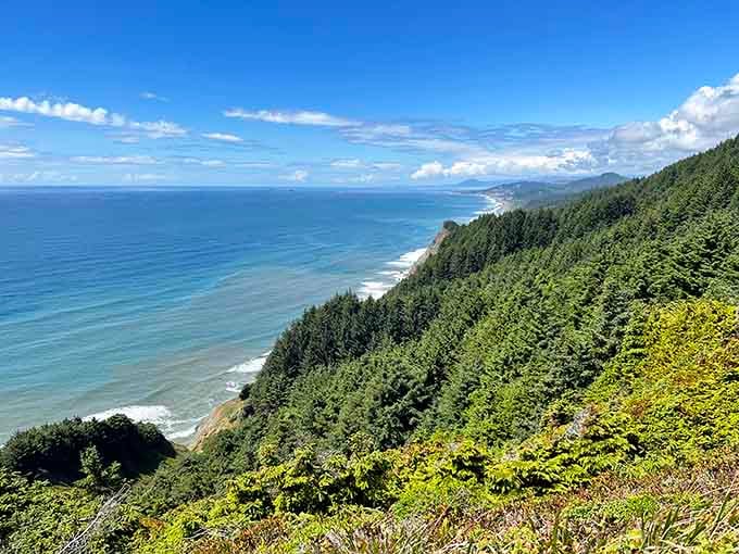 Standing 700 feet above the Pacific, Cape Sebastian serves up coastal views so vast they feel almost unfair.