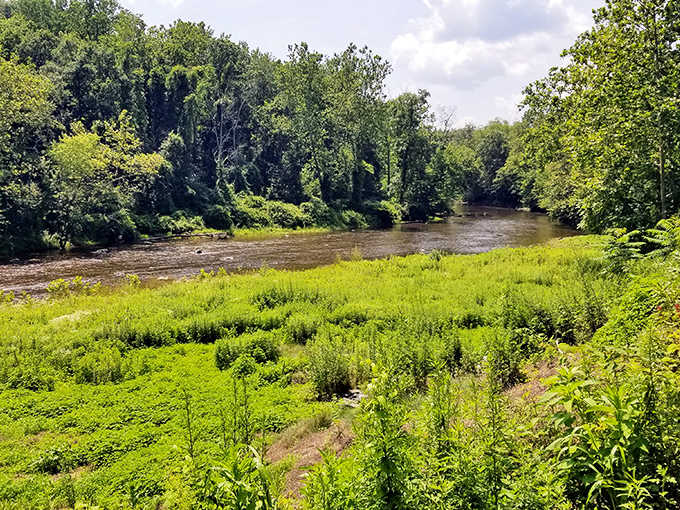 Lush green riverbanks stretch lazily under a summer sky &mdash; nature's own version of a perfectly comfortable armchair.
