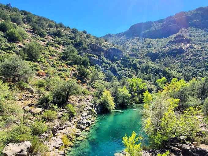 Fossil Creek winds through the canyon like a turquoise ribbon someone dropped from a great height.