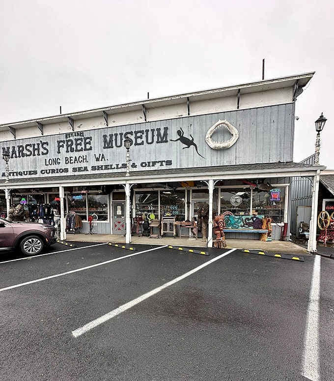 That giant shark jaw on the roofline is basically nature's way of saying "you really need to stop in."
