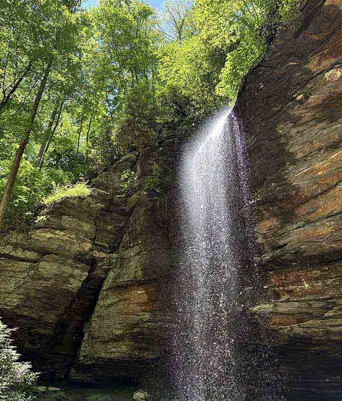 Water drops from the rock overhang creating nature's own private curtain you can actually walk behind.