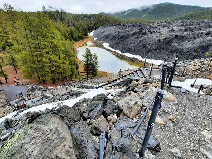 Black lava meets green forest in this dramatic volcanic landscape where fire and life exist side by side.