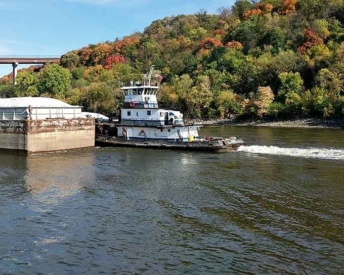 A hardworking tugboat pushes through the Mississippi while autumn blazes across the bluffs in every warm color imaginable.