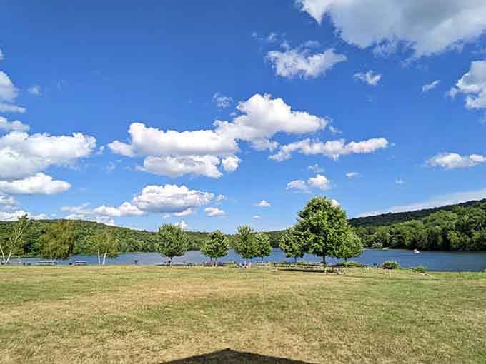Shepherd Lake gleaming under a perfect summer sky, with rolling green hills beyond, looks like a postcard that actually exists.