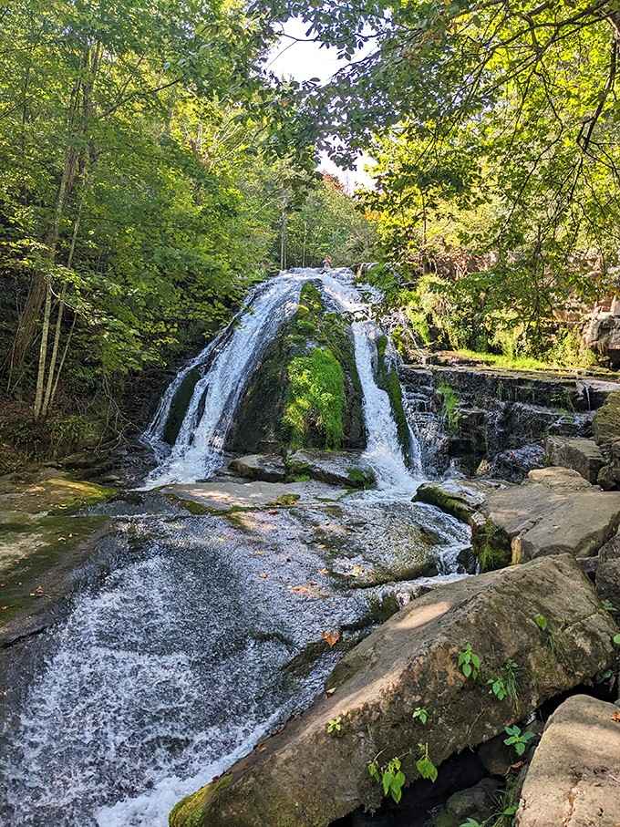 This moss-covered wonder splits into twin streams, creating a natural archway that's pure waterfall poetry in motion.