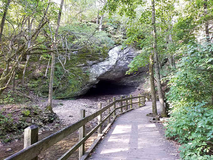That wooden boardwalk leads straight into the cool, dark mystery of Devil's Icebox cave &mdash; adventure is just ahead.