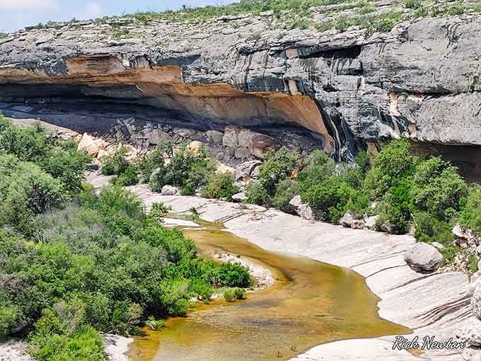 Towering limestone overhangs cast cool shadows over a golden ribbon of creek winding through Seminole Canyon's ancient floor.