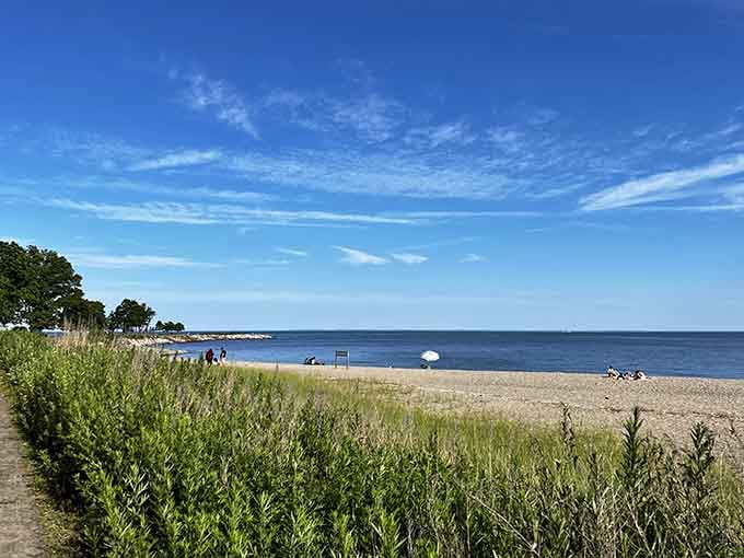 Sherwood Island's gentle crescent beach curves toward the horizon, unhurried and absolutely lovely on a summer afternoon.