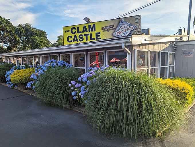 Those hydrangeas blooming bright blue against yellow signage prove that roadside classics never go out of style or flavor.