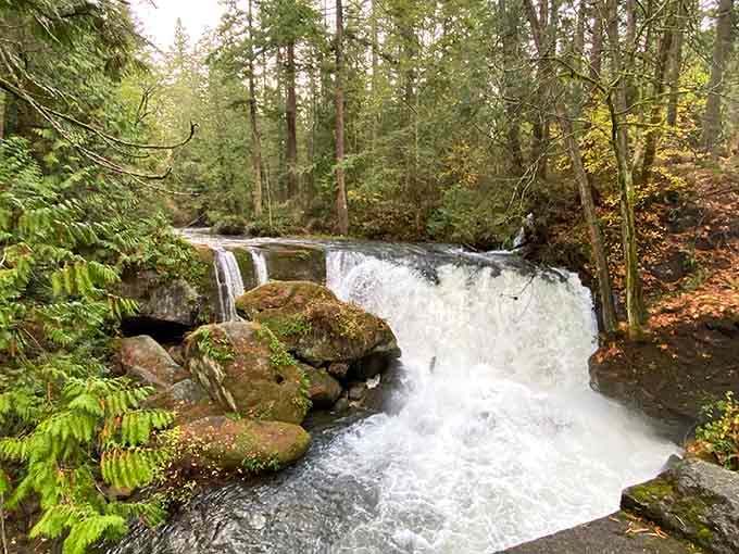 This urban oasis proves you don't need wilderness to find peace, just moss-covered rocks and rushing water.