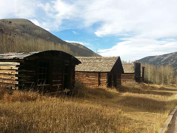 Three dark log cabins huddle together in the dry winter grass at Ashcroft, looking like they're sharing a very old secret.