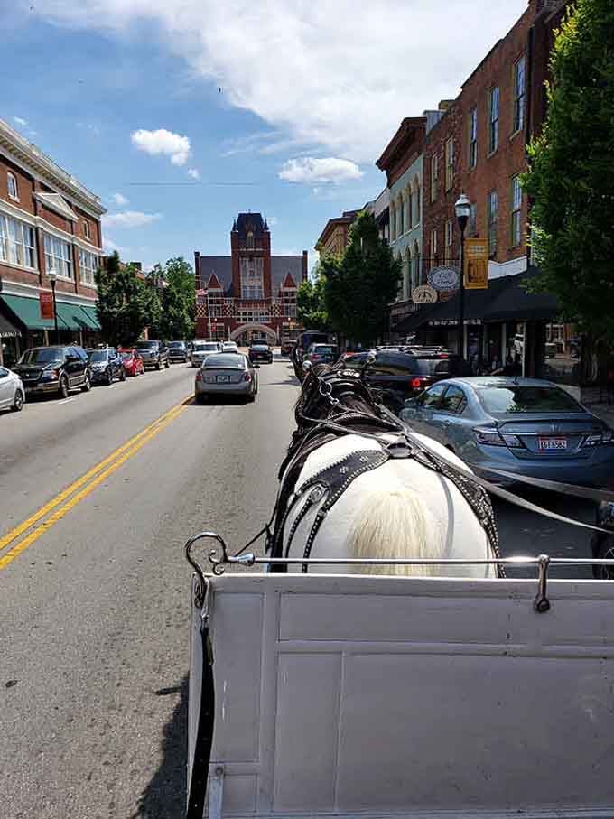 There's something deeply satisfying about seeing Bardstown's historic streets from behind a horse, the way Kentucky intended.
