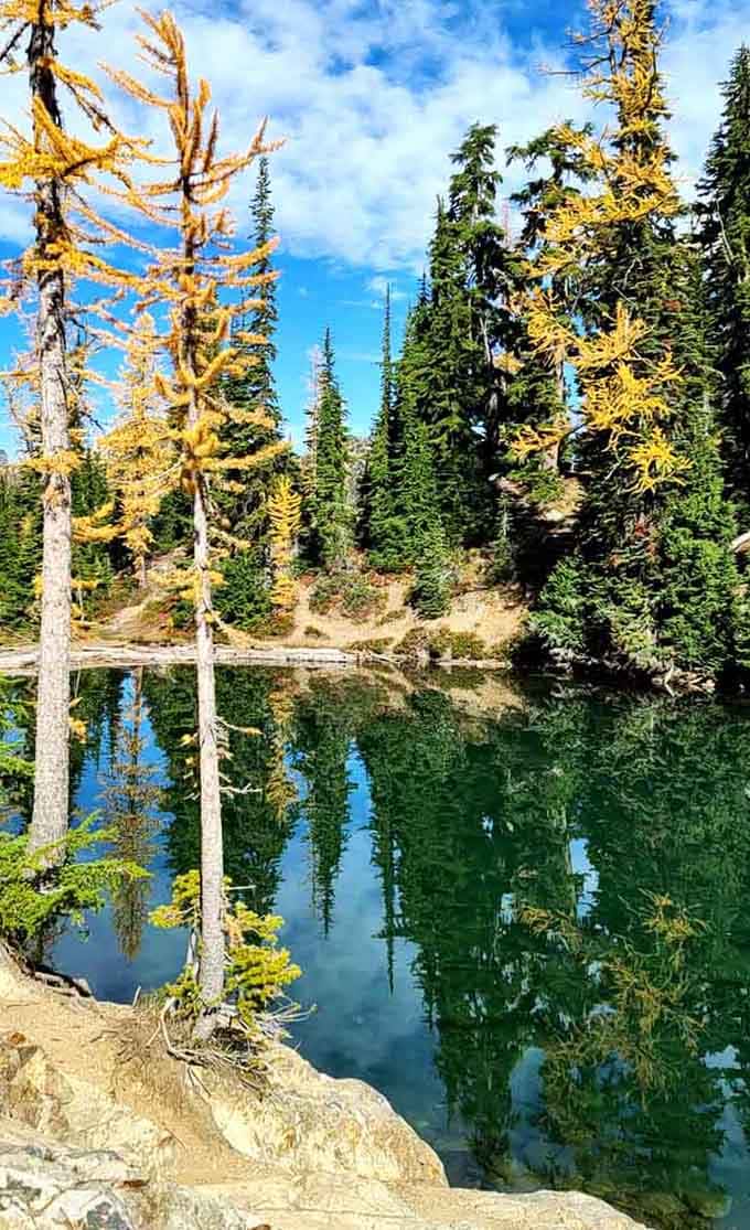 When autumn turns the larches to gold, this alpine gem becomes a two-for-one special of breathtaking beauty above and below.
