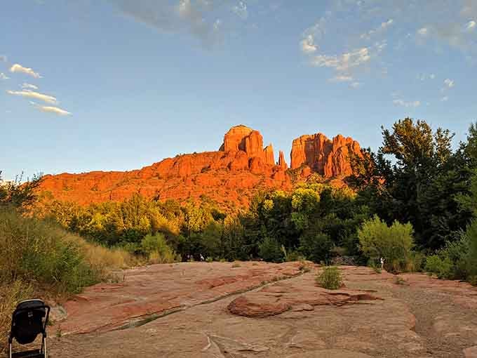 Cathedral Rock rises majestically while bare winter trees frame the scene like nature's own picture window.