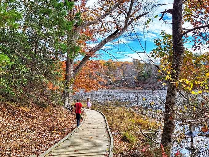 Autumn fire blazes across the treetops as two hikers stroll the boardwalk, with the shimmering lake stealing the whole show.