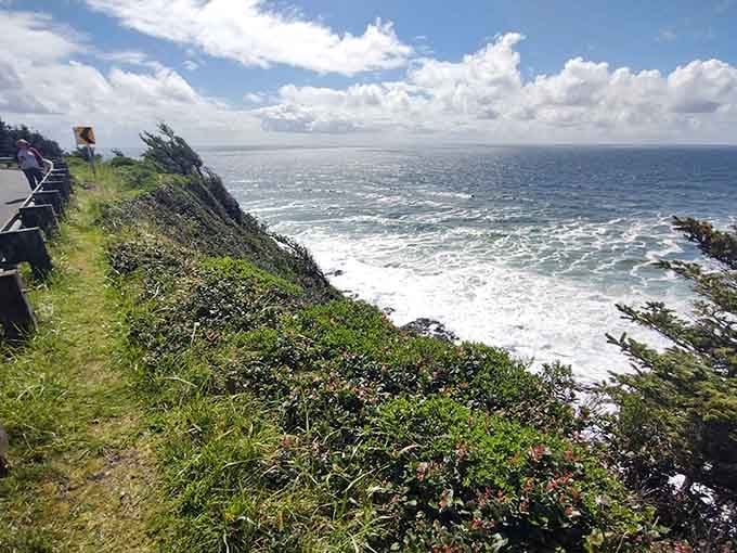 Dramatic coastal cliffs frame the Pacific like a postcard that somehow got better than the real thing.
