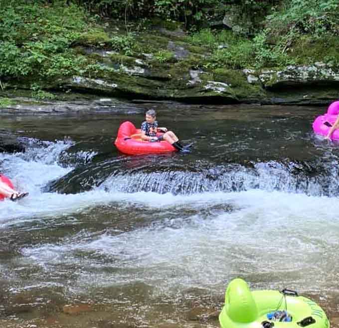 Young adventurers tackle gentle rapids with colorful tubes, proving that thrills come in all sizes and speeds.
