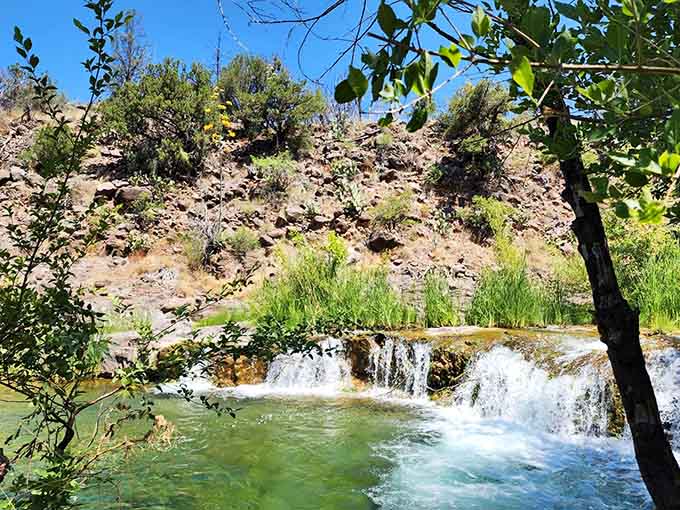 A sparkling natural waterfall tumbles over travertine shelves, proving Arizona never read the desert rulebook.