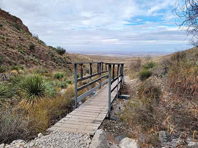 A wooden bridge overlooks endless desert vistas, proving that sometimes the journey's pause points are the real destination here.