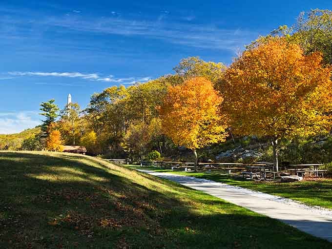 Golden trees line the picnic area like nature's own welcome committee, inviting you to stay awhile.