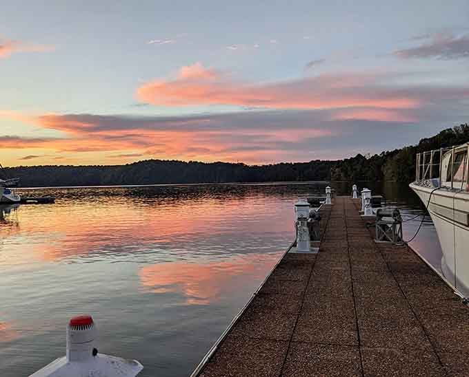 Pink and orange clouds melt into Wheeler Lake's glassy surface in a sunset that demands your full attention.