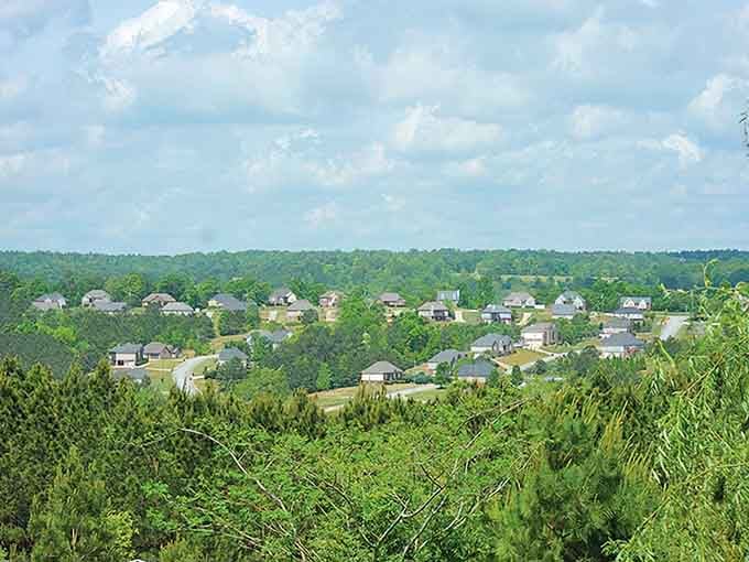 Rooftops peek through a lush green canopy in Margaret, where quiet neighborhoods nestle into the hills like a well-kept secret.