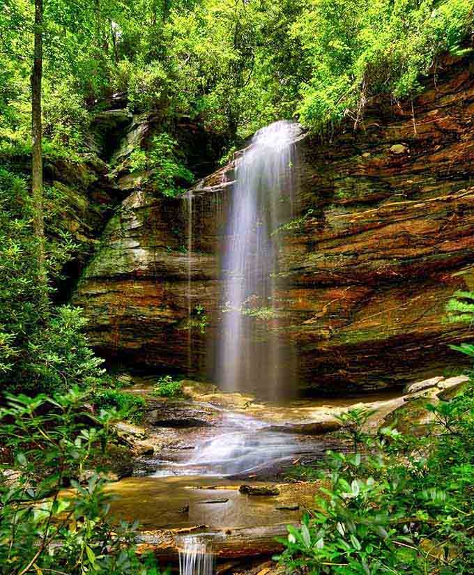 The moss-covered alcove and gentle cascade make this forest waterfall feel like discovering a secret sanctuary.