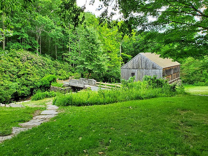 The historic sawmill sits beside water so calm it mirrors the trees, creating nature's own perfect reflection of tranquility.