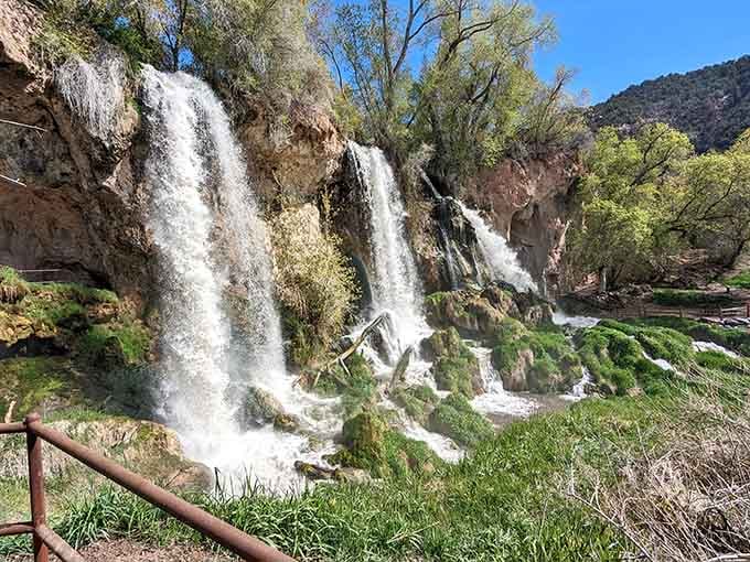 That rusty old fence in the foreground just makes the lush, cascading curtain of water behind it look even more spectacular.