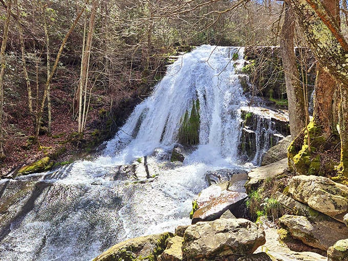 Rushing white water over emerald moss in early spring, when the falls roar with snowmelt and renewed energy.