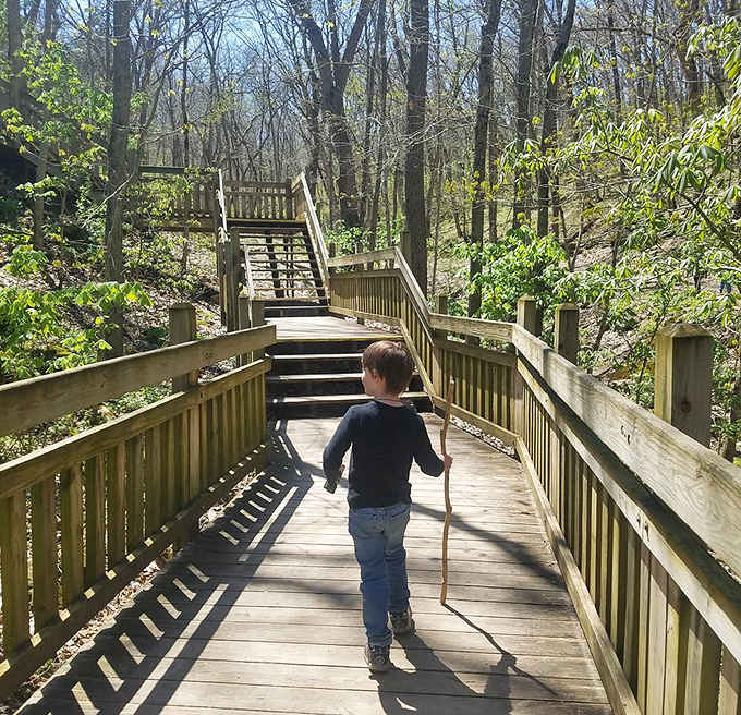 A young explorer with a walking stick conquers Rock Bridge's boardwalk stairs, channeling his inner Indiana Jones perfectly.