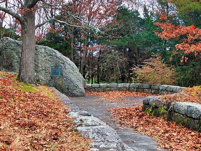 Autumn leaves carpet every stone and pathway here, turning Schoolmaster Hill into nature's own masterpiece painting.