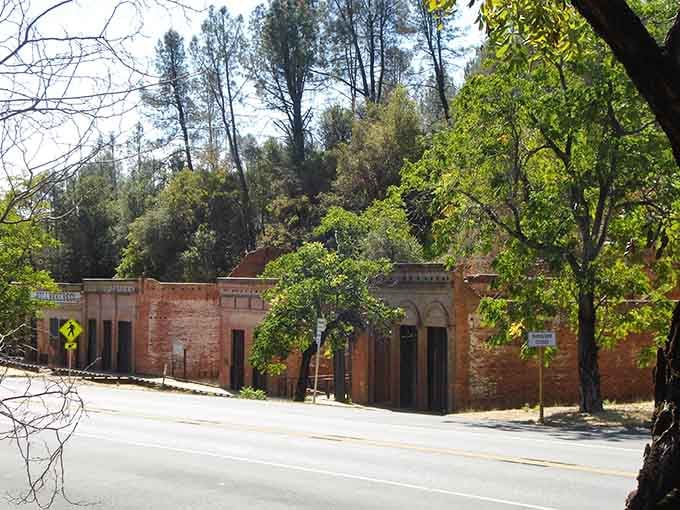 Arched doorways and iron shutters peek through the trees like a forgotten city slowly reclaimed by nature.