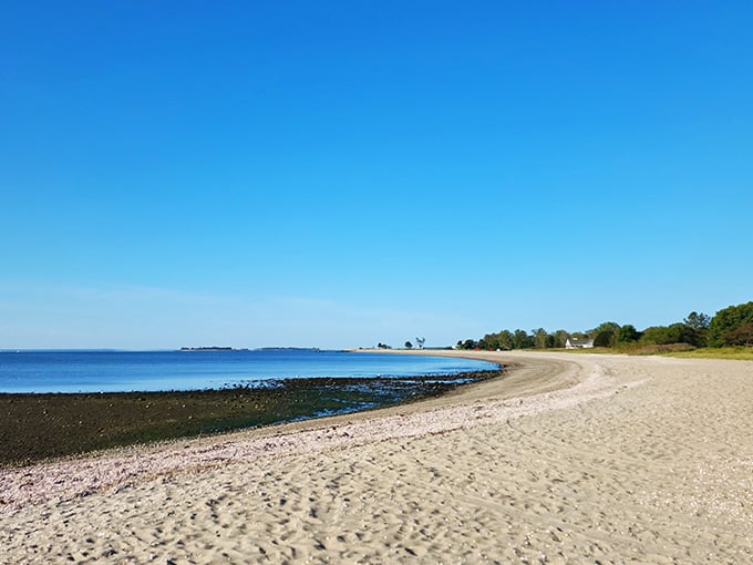 Wide open sand, calm water, and Charles Island floating dreamily offshore — Silver Sands delivers pure coastal bliss.