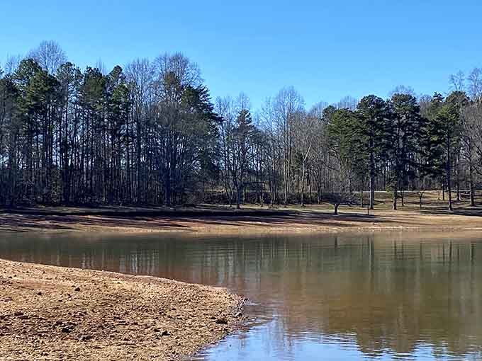 Winter light hits the still water at Tugaloo like a painting someone forgot to hang in a museum.
