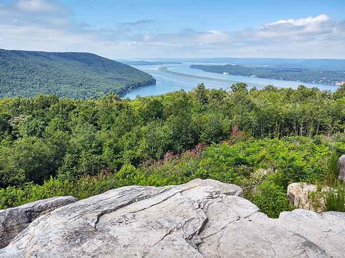 Rocky ledge, rolling green hills, and the Tennessee River shimmering below — Weathington Park delivers views that earn a standing ovation.