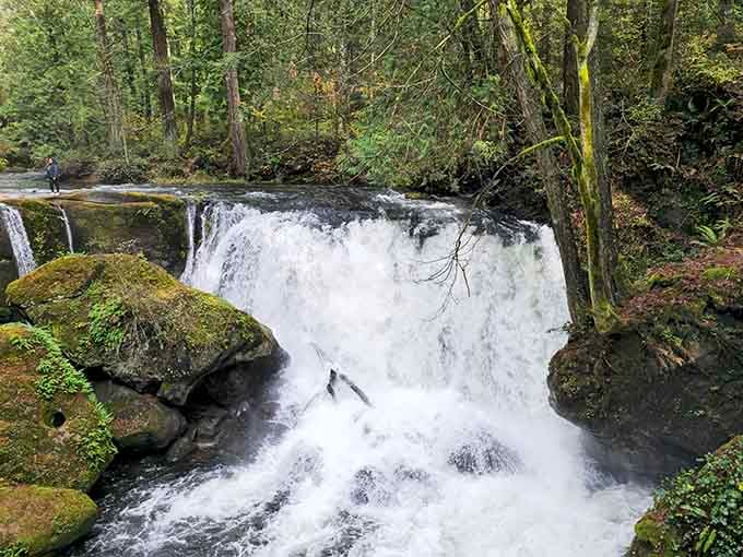The cascade tumbles over multiple ledges while forest surrounds this city park gem that locals treasure year-round.