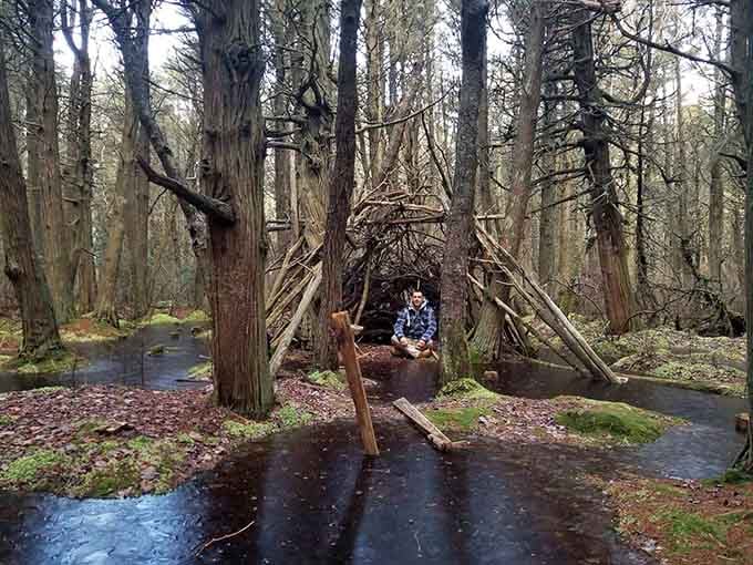 Natural shelters built from fallen branches show how the swamp becomes an artist's canvas for creative woodland architecture.