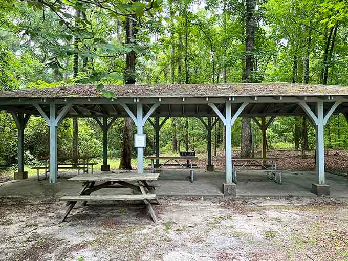 This shaded picnic shelter at Woods Bay is proof that the best dining rooms don't always have four walls.