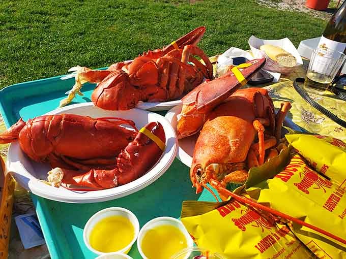 Three whole lobsters on one tray, with cups of melted butter standing by, this is what a truly great day looks like.
