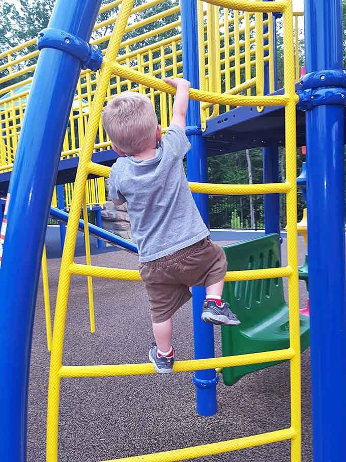 Up, up, and away. This determined little climber has absolutely no interest in taking the easy route.