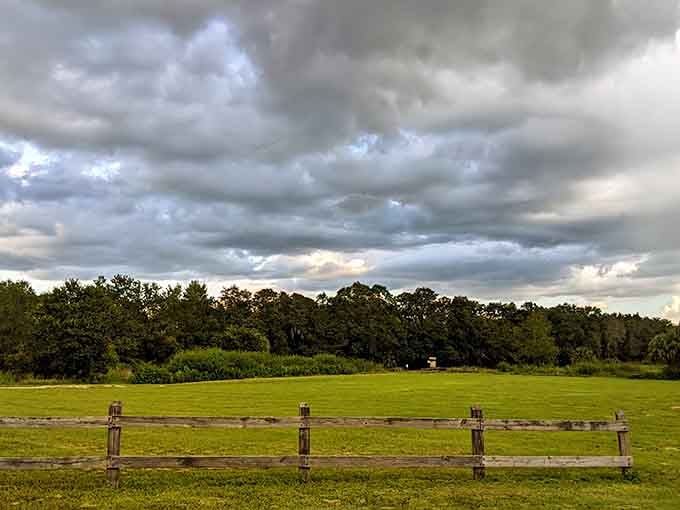 Wide open fields and dramatic skies make Alafia River State Park a peaceful place for memorable outdoor moments and photos.