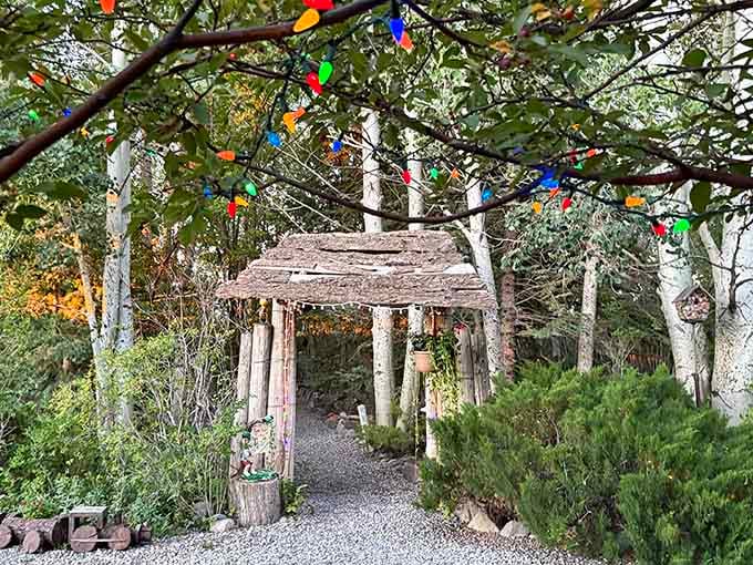 Colorful lights strung through the trees turn this rustic grotto into something straight out of a storybook you forgot you loved.
