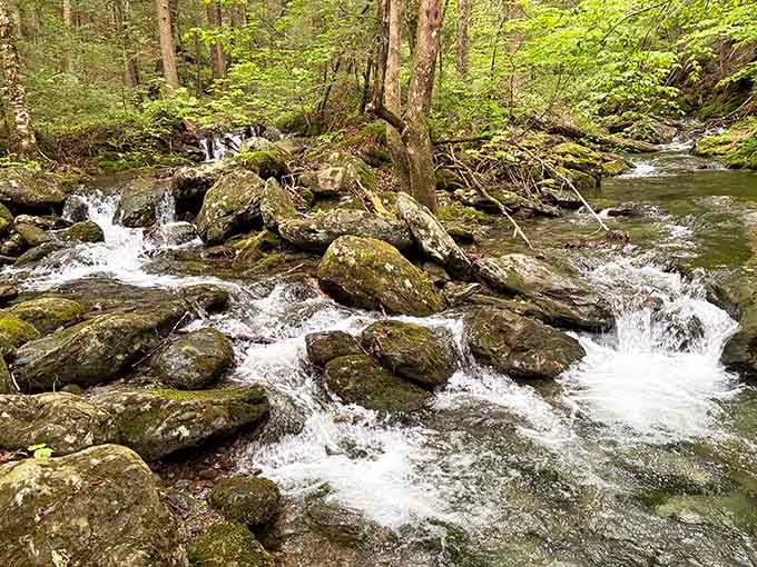 Nature's own white noise machine, minus the subscription fee and the annoying app updates that always come at bedtime.