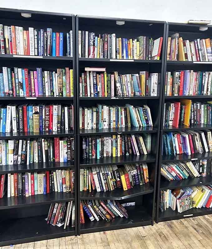Three shelves packed with books, because your next favorite read might be hiding here for almost nothing.