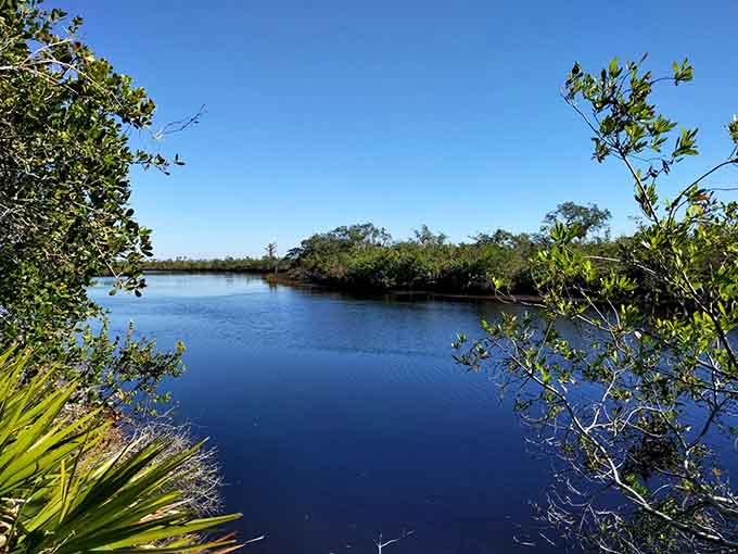 Deep Creek Preserve mirrors a sky so blue it looks digitally enhanced, but this gorgeous Florida waterway is completely the real deal.