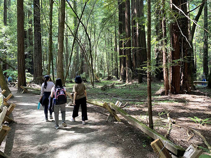 Three visitors walk the trail and suddenly realize their problems are very, very small by comparison.